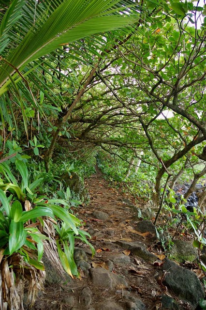 Na Pali from Ground Level - Exploration Vacation