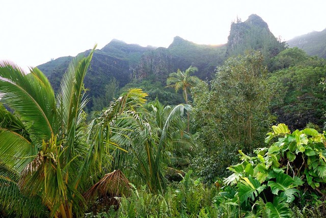 Na Pali from Ground Level - Exploration Vacation