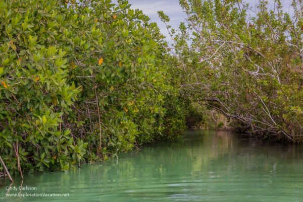Float in a Mayan canal at Sian Ka’an, Tulum, Mexico - Exploration Vacation