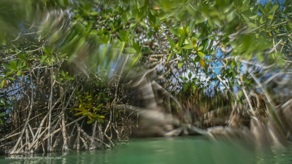 Float in a Mayan canal at Sian Ka’an, Tulum, Mexico - Exploration Vacation