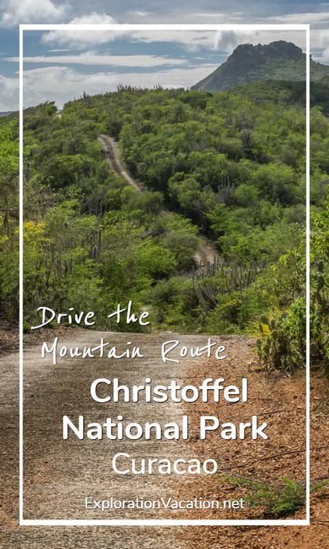Drive the Mountain Route through Christoffel National Park, Curaçao ...