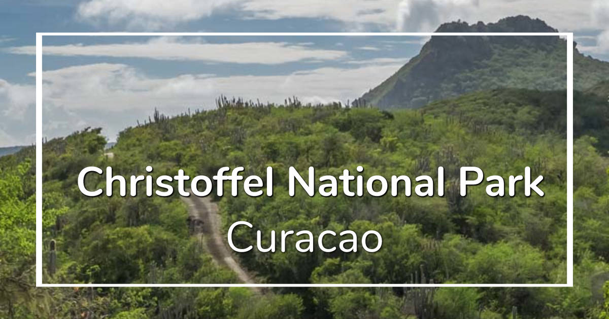 Drive the Mountain Route through Christoffel National Park, Curaçao ...
