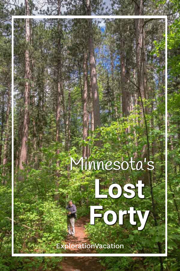 The pines that got away: Minnesota’s Lost Forty - Exploration Vacation