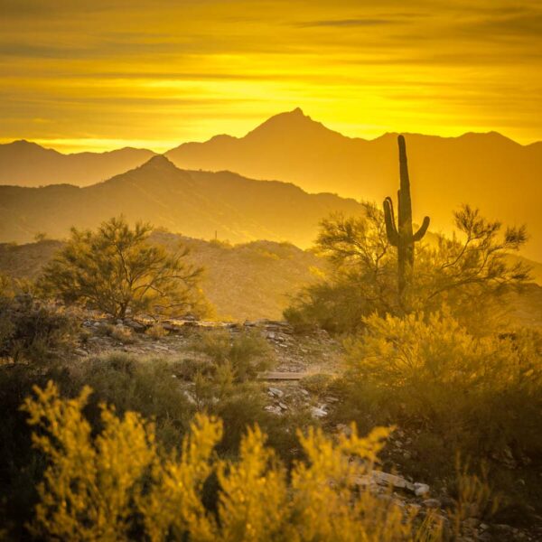 Exploring Phoenix and the Valley of the Sun - Exploration Vacation