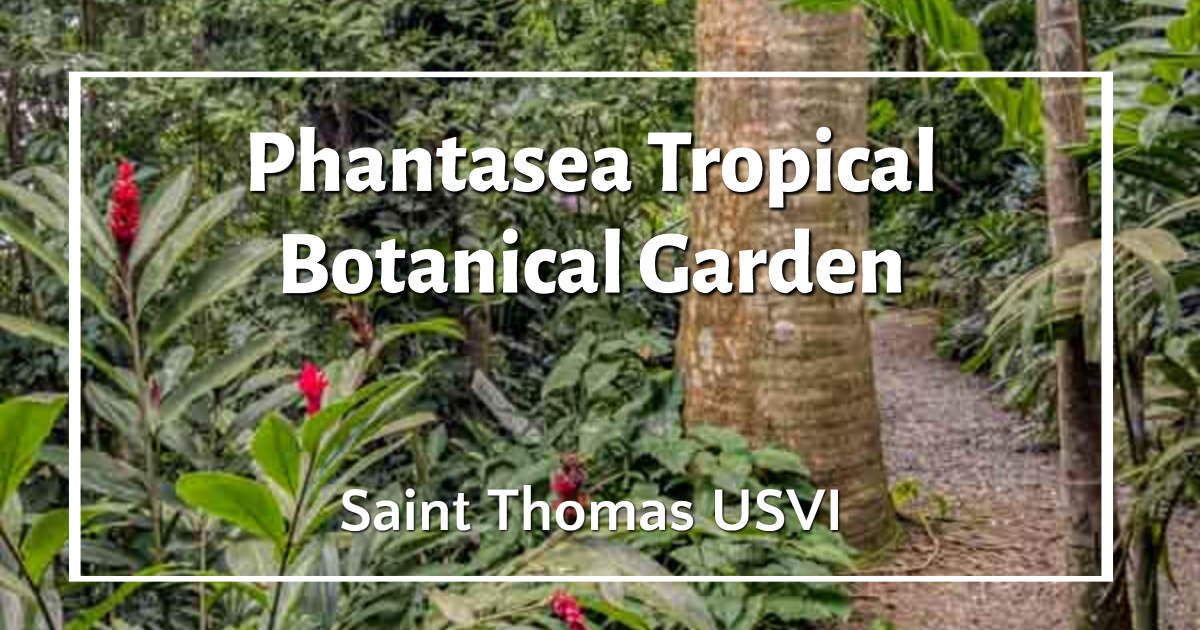 The tropical beauty of Phantasea Gardens on Saint Thomas - Exploration ...
