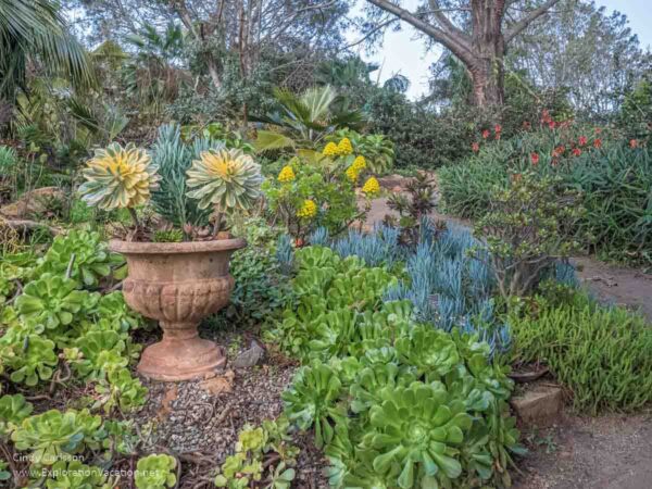 Reciprocal garden admissions: One membership for 100s of North American ...