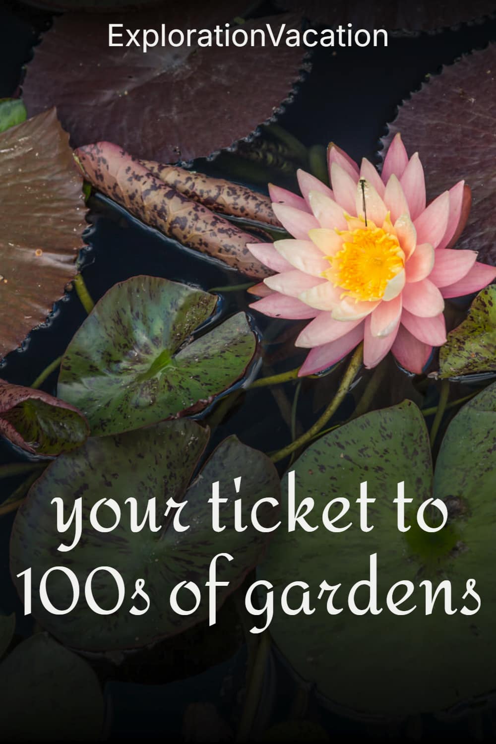 Reciprocal garden admissions: One membership for 100s of North American ...
