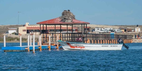 Petting whales in Mexico - Exploration Vacation