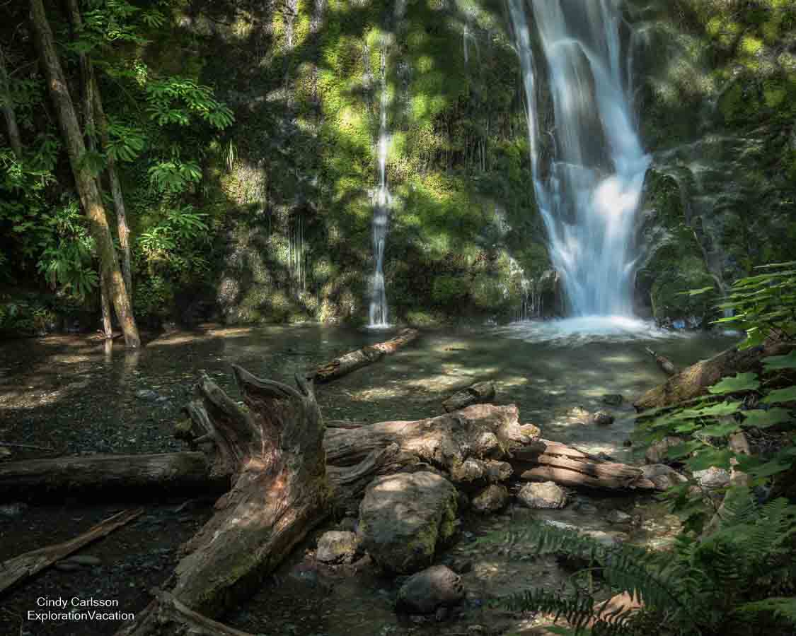 Olympic National Park World Heritage Site requires more time ...