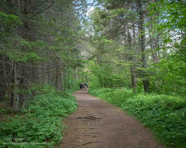 Discover Iona's Beach (Minnesota's pink beach also sings) - Exploration ...
