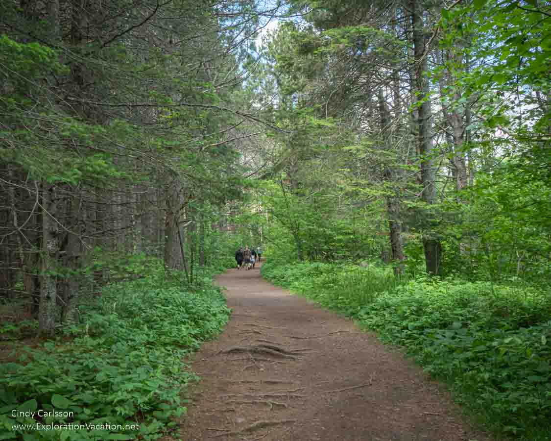 Discover Iona's Beach (Minnesota's pink beach also sings) - Exploration ...