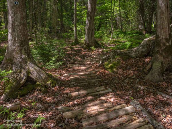 Visit Frog Bay for hiking and a Lake Superior beach - Exploration Vacation