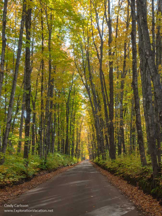 Michigan’s best fall drives: The Covered Road near Houghton ...
