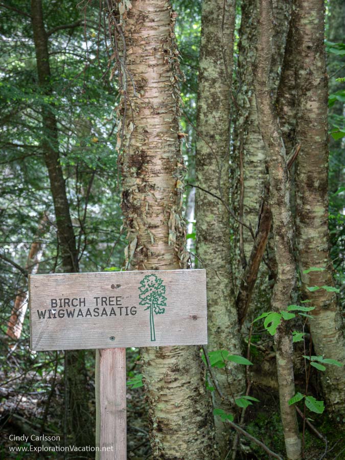 Visit Frog Bay for hiking and a Lake Superior beach - Exploration Vacation