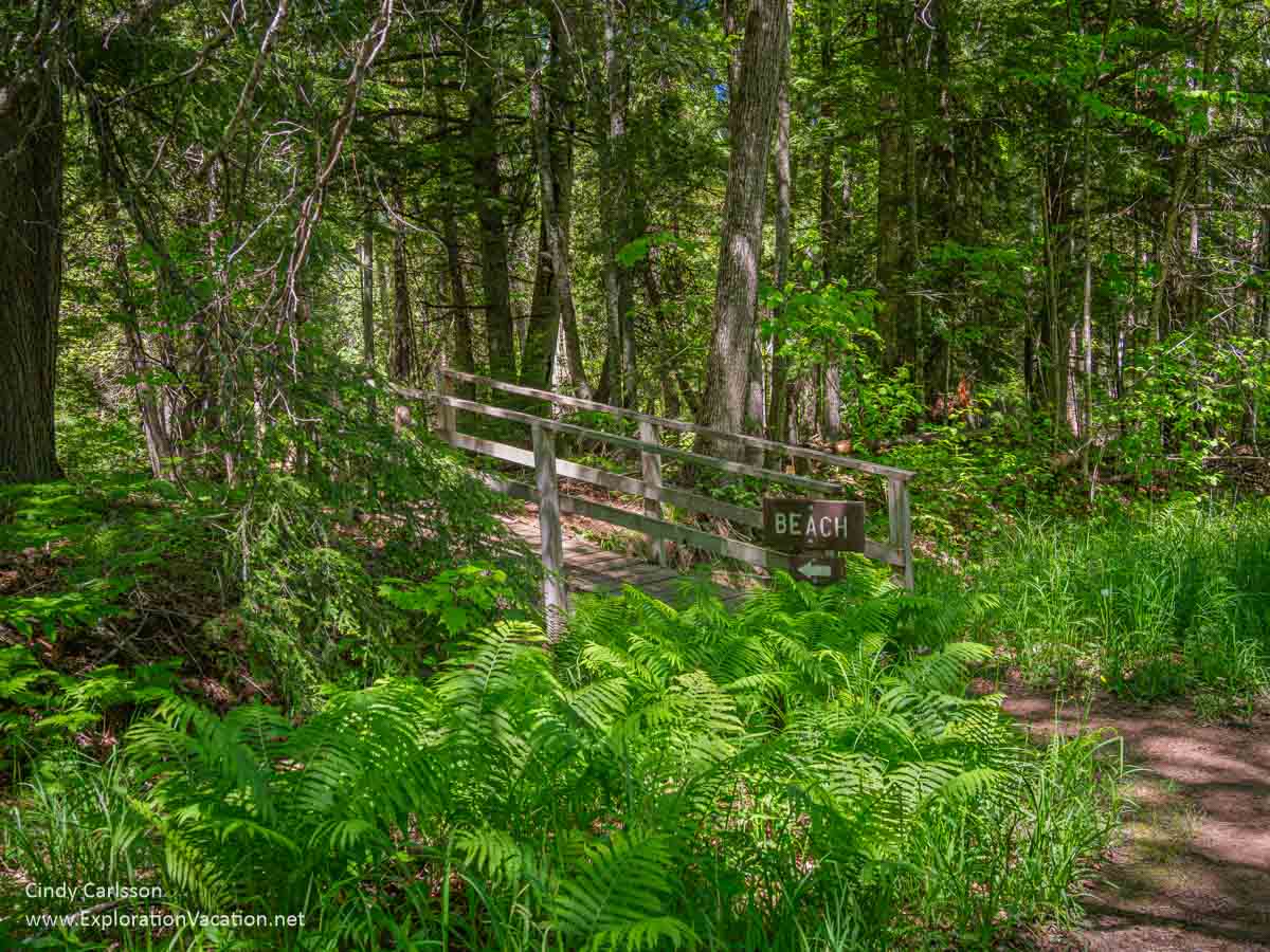 Visit Frog Bay for hiking and a Lake Superior beach - Exploration Vacation