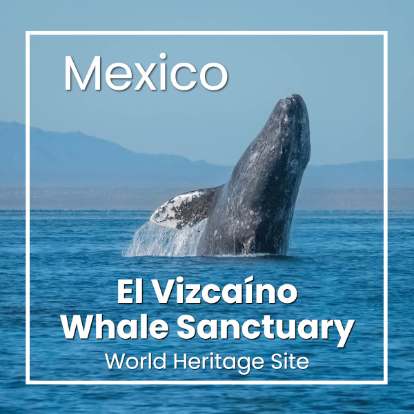 El Vizcaíno Whale Sanctuary World Heritage Site in Baja Mexico ...