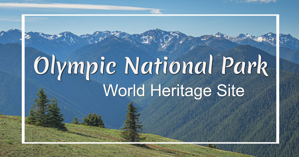 Olympic National Park World Heritage Site requires more time ...